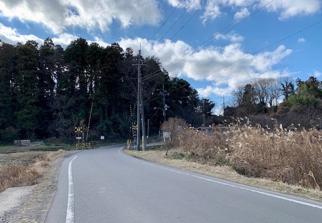 撮り鉄気分？？: 日向の薫り−3